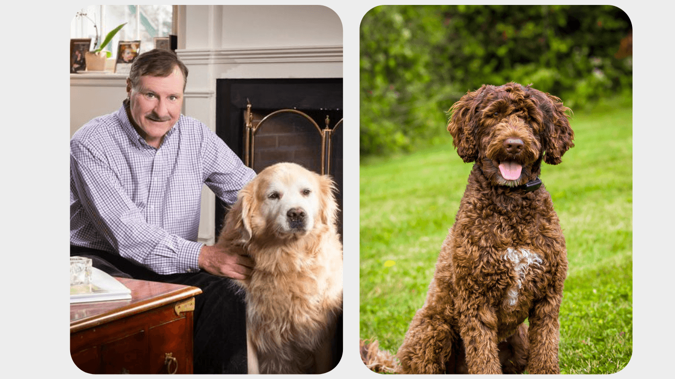 Invisible Fence® Founder, John Purtell • San Antonio Dog Fence